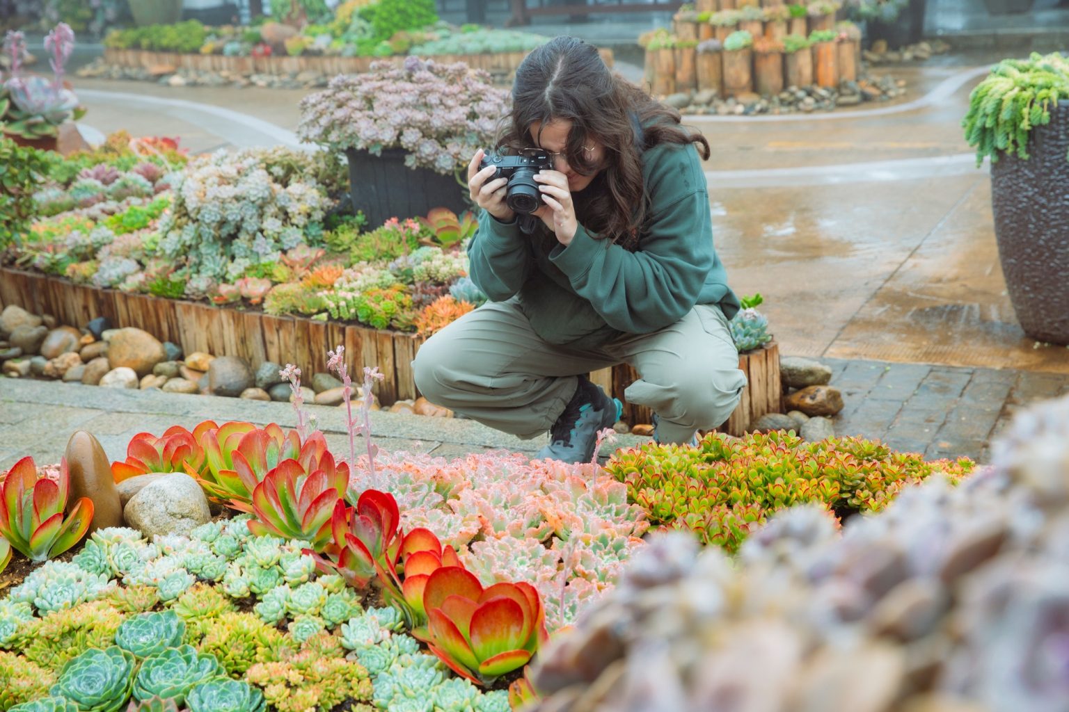 LỄ HỘI SEN ĐÁ FANSIPAN LEGAND 2025 - Đại lý vé Sun World Hạ Long